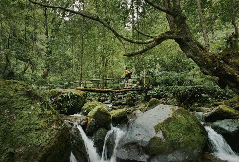 Batumi to Mtirala National park - Half day hiking group tour - The Itinerary: A Closer Look at Each Stop