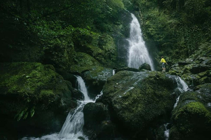 Batumi to Mtirala National park - Half day hiking group tour - The Reality Check: The Practicalities and Considerations