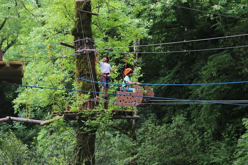 Batumi to Mtirala National park - Half day hiking group tour - Authentic Insights from Reviews