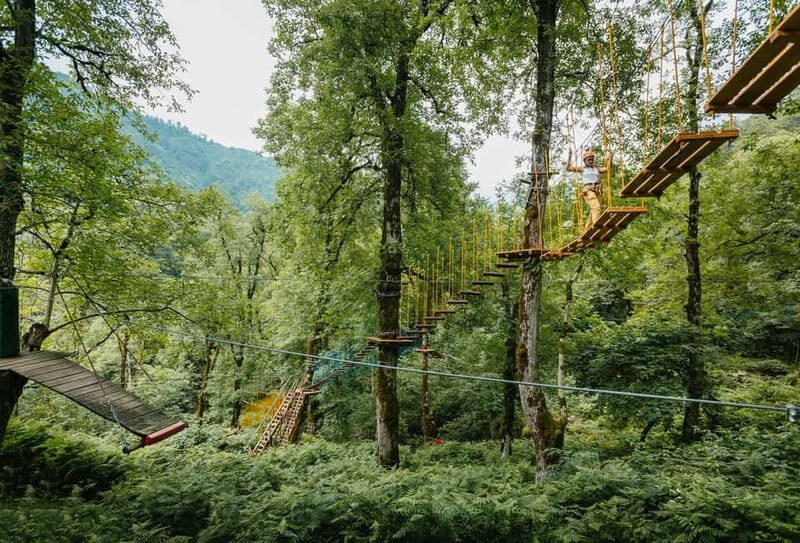 Batumi to Mtirala National park - Half day hiking group tour - In Summary