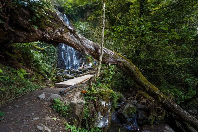 Batumi, Waterfalls & Folklore - group tour from Kutaisi - An In-Depth Look at the Tour Experience
