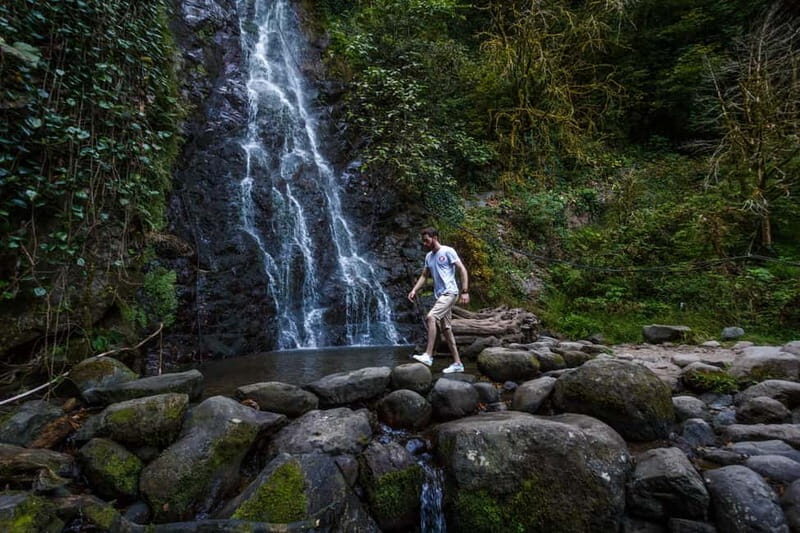 Batumi, Waterfalls & Folklore - group tour from Kutaisi - What Travelers Are Saying