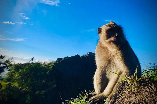 Batur Trekking Sunrise with Breakfast - An Early Start for a Big Awakening