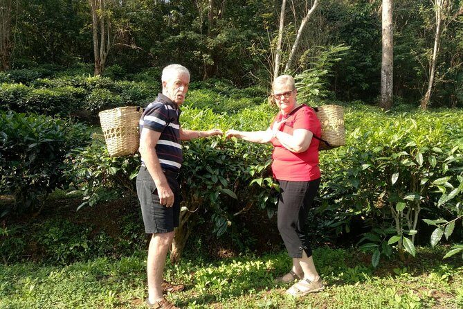 Bau Thong Waterfalls, Tea, and Wat Ban Den Private Tour - FAQ: Your Practical Questions Answered
