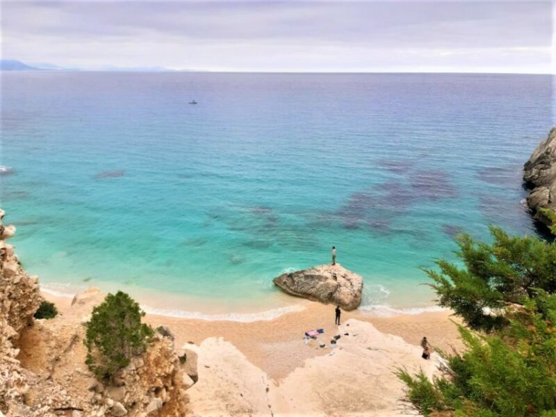 Baunei: Cala Goloritzè Trekking Tour with A Guide - Authentic Experiences and Real Travelers’ Feedback