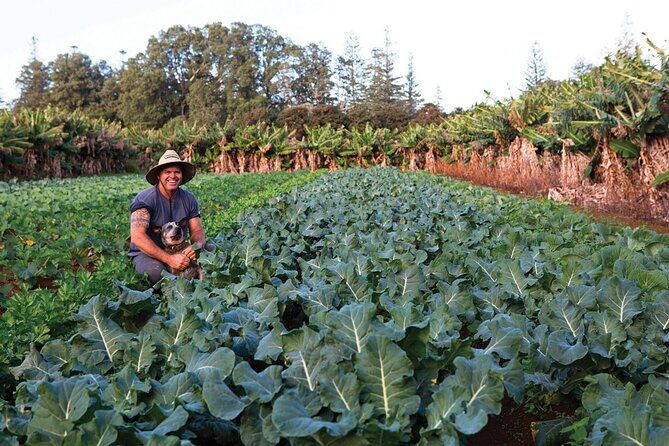 Bauntis Farm and Industry Tour in Norfolk Island - A Deep Dive into the Bauntis Farm and Industry Tour