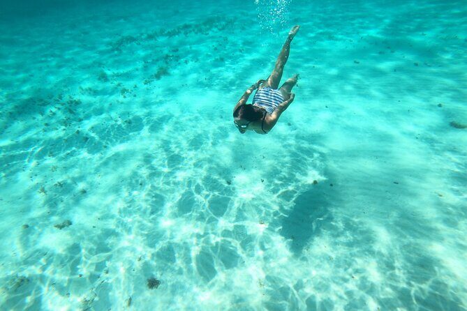 Bavarian Fiesta Snorkel Activity in Glass Bottom Boat at San Miguel de Cozumel - Who Will Love This Tour?