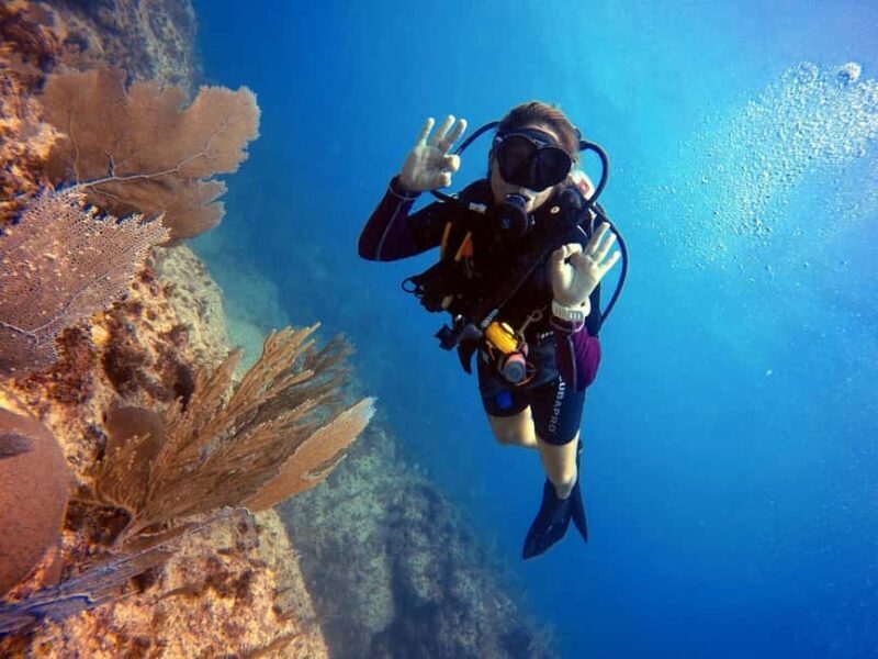 Bávaro: Catalina Island Diving Tour with BBQ & Drinks - The Sum Up: Is it Worth It?