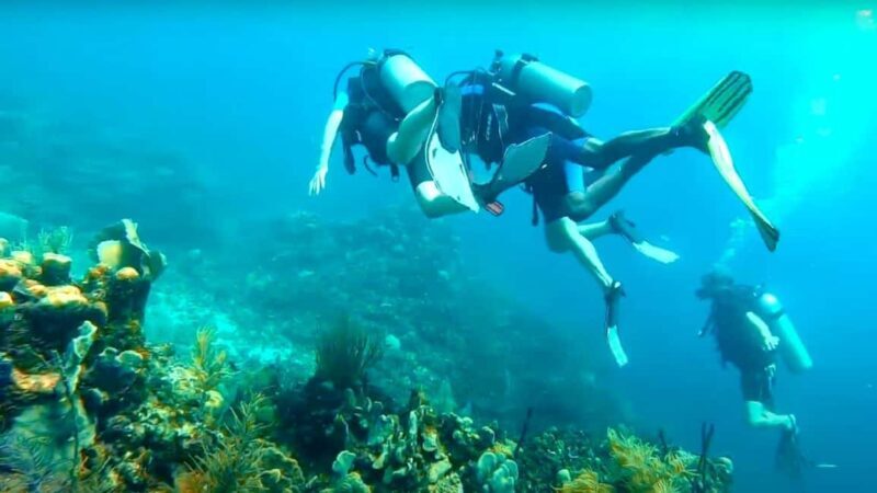 Bávaro: Catalina Island Diving Tour with BBQ & Drinks - FAQ