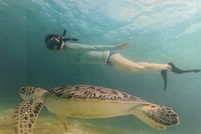 Bavaro Punta Cana EN boat party with drinks and transportation - Practical Tips for Your Trip