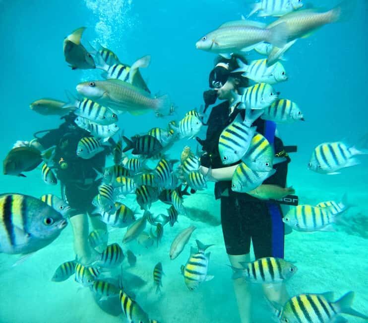 Bávaro: Scuba Diving Experience for Beginners - An In-Depth Look at the Bávaro Beginner Scuba Tour