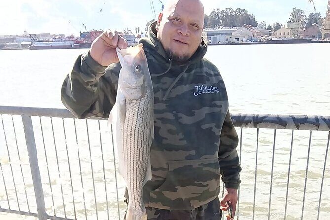 Bay Area Pier Fishing: Striped Bass Hunting (No license Required) - Introduction