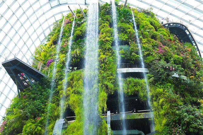 Bay Cloud Forest Gardens, Flower Dome, Jurassic World Experience - A Closer Look at the Tour Experience