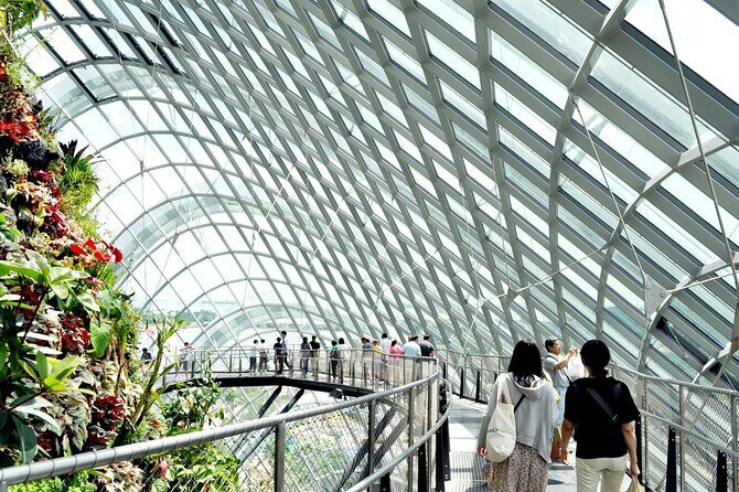 Bay Cloud Forest Gardens, Flower Dome, Jurassic World Experience - Final Thoughts: Who Is This Tour Best For?