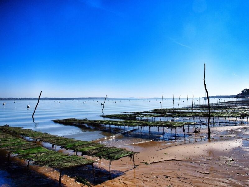 Bay of Arcachon: Guided Food Tour - A Closer Look at the Bay of Arcachon: Guided Food Tour