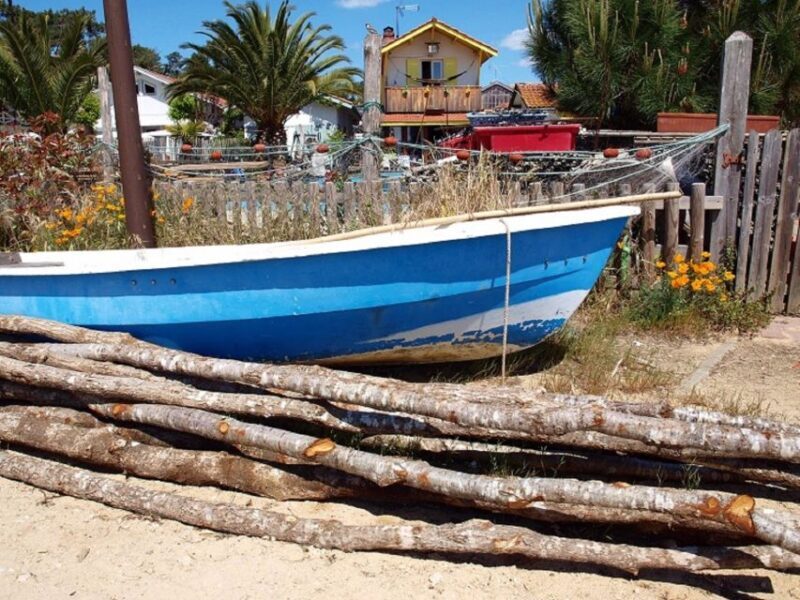 Bay of Arcachon: Guided Food Tour - Who Will Love This Tour?