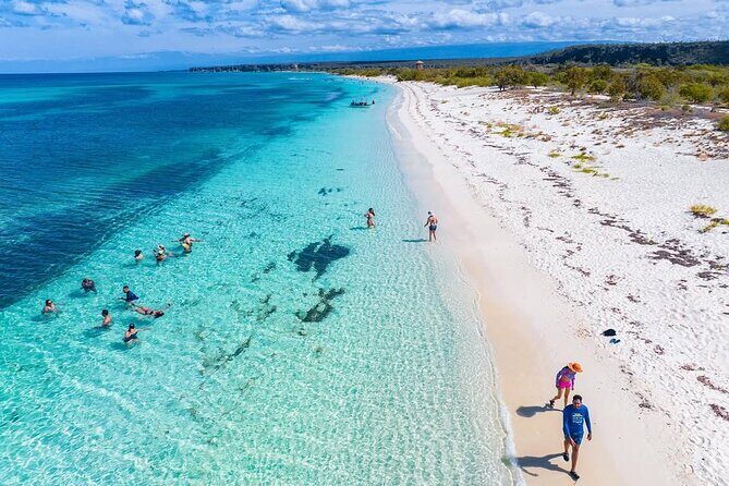 Bay of Eagles VIP : Full Day to Paradise From Santo Domingo - Key Points
