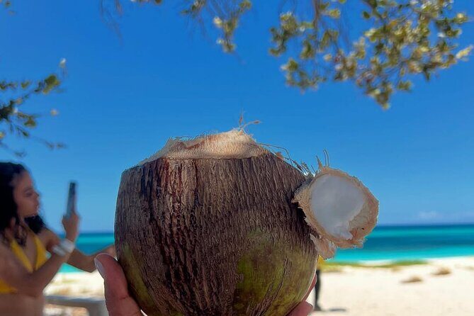 Bay of Eagles VIP : Full Day to Paradise From Santo Domingo - Who Should Consider This Tour?