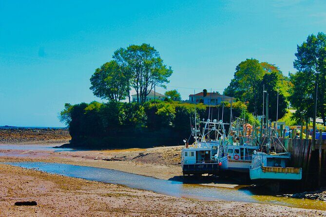 Bay Of Fundy Guided Tour - An In-Depth Look at the Tour Itinerary