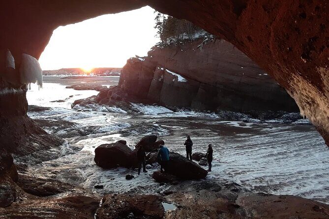 Bay of Fundy Shared Tour Adventure - Key Points
