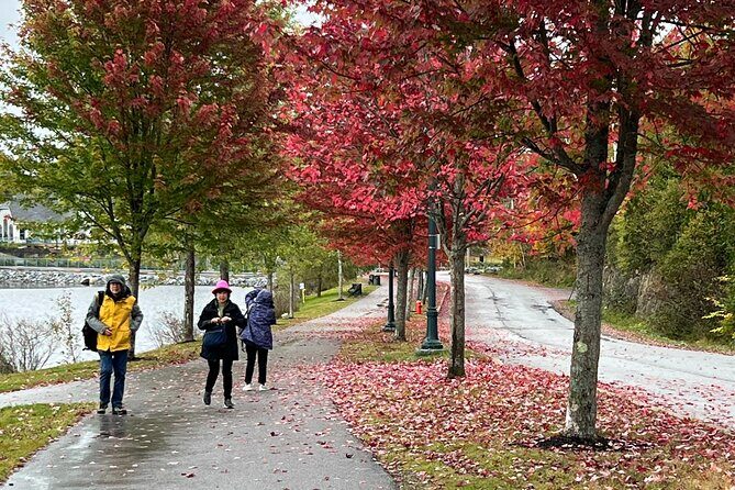 Bay of Fundy Shared Tour Adventure - Practicalities and Logistics