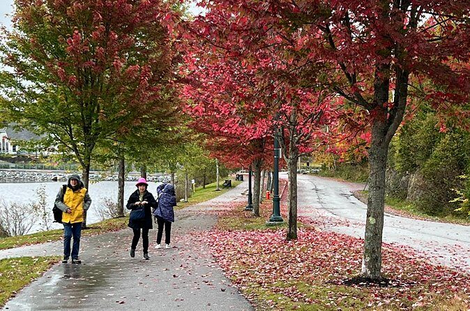 Bay of Fundy Shared Tour Adventure - Who Will Love This Tour?
