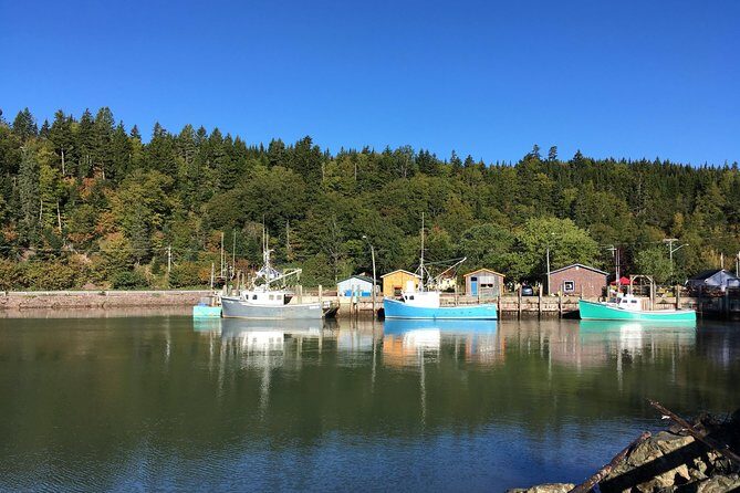 Bay of Fundy Tour by Bus - What’s Included and What’s Not?