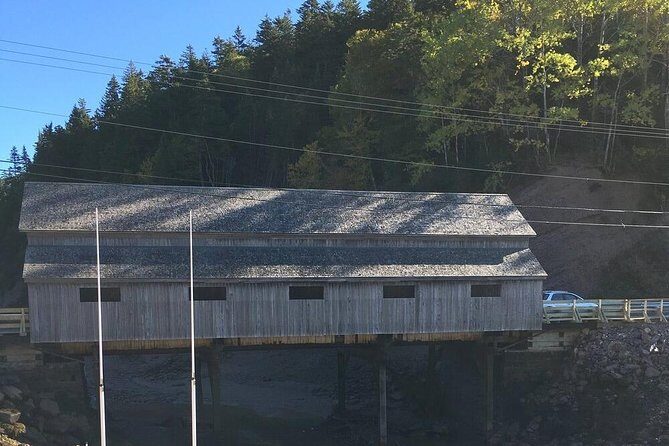 Bay of Fundy Tour by Bus - What Do Travelers Say?