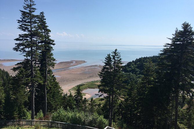 Bay of Fundy Tour by Bus - Analyzing the Value