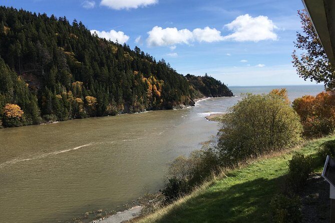 Bay of Fundy Tour by Bus - Final Thoughts: Who Should Consider This Tour?