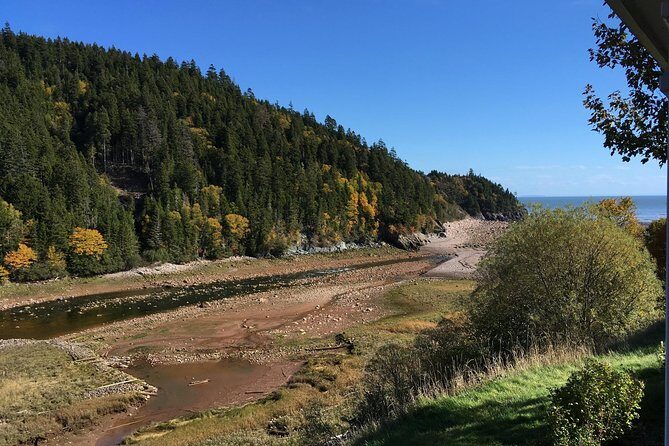 Bay of Fundy Tour by Bus - Frequently Asked Questions