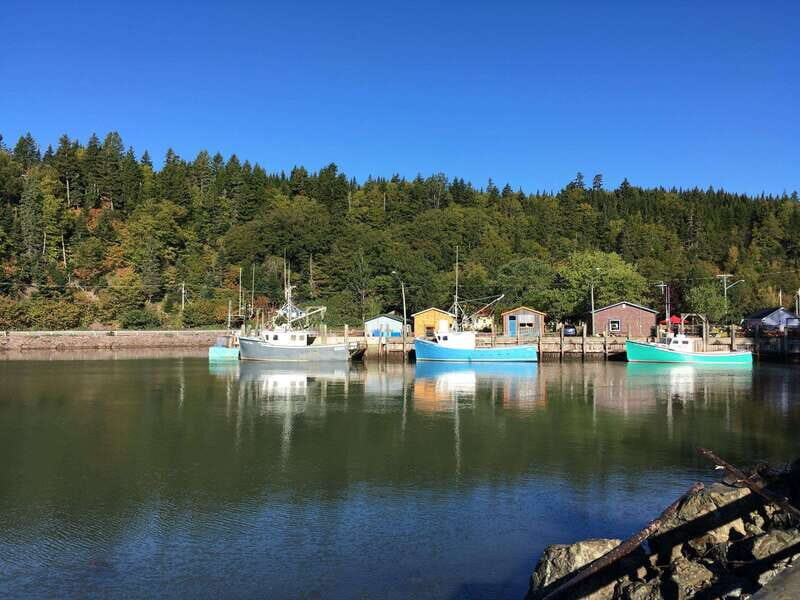 Bay of Fundy Tour by Luxury Car - Starting Point: Marco Polo Cruise Terminal