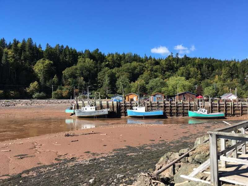 Bay of Fundy Tour by Luxury Car - Timing and Season