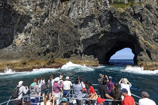 Bay of Island Day Tour with Hole in the rock cruise from Auckland - A Deep Dive into the Experience