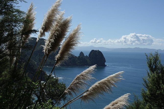 Bay of Islands 2-Day Small Group Tour & Cruise from Auckland - Practicalities and Considerations