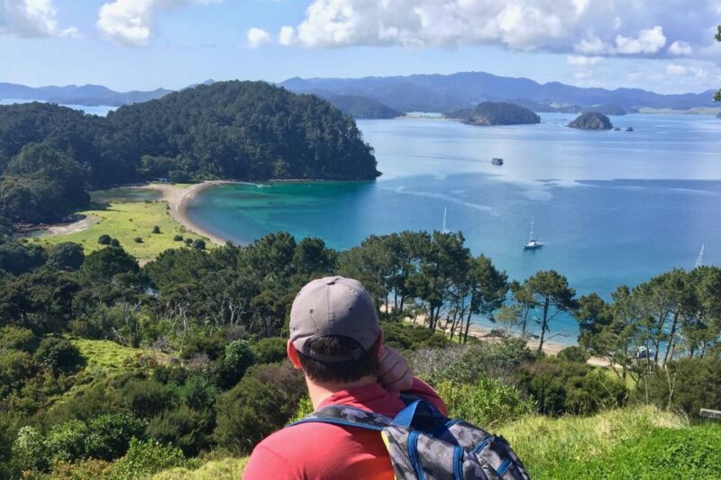 Bay of Islands: 4.5 Hour Day Cruise and Island Getaway Tour - The Sum Up