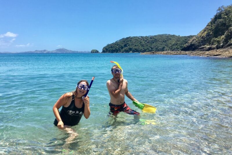 Bay of Islands: 4.5 Hour Day Cruise and Island Getaway Tour - FAQ