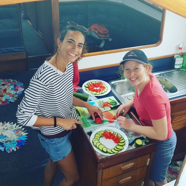 Bay of Islands: Awesome Day Sailing Tour with Island Stop - Final Thoughts: Who Will Appreciate This Tour?