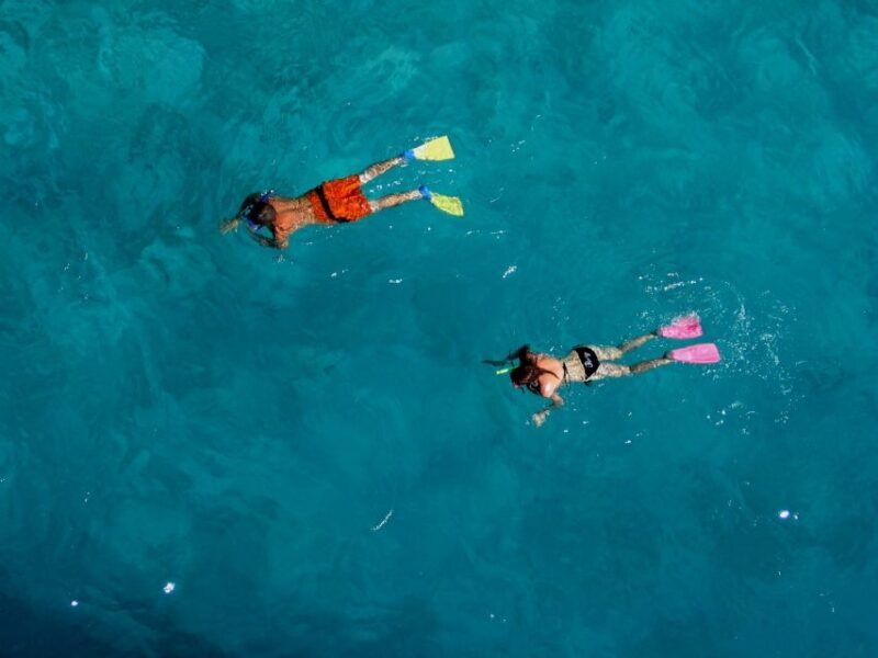 Bay of Islands: Awesome Day Sailing Tour with Island Stop - FAQs