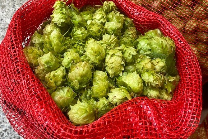 Bay of Islands Craft Beer Brewery Tour and Haruru Falls, Paihia - Final Thoughts: Is It Worth It?
