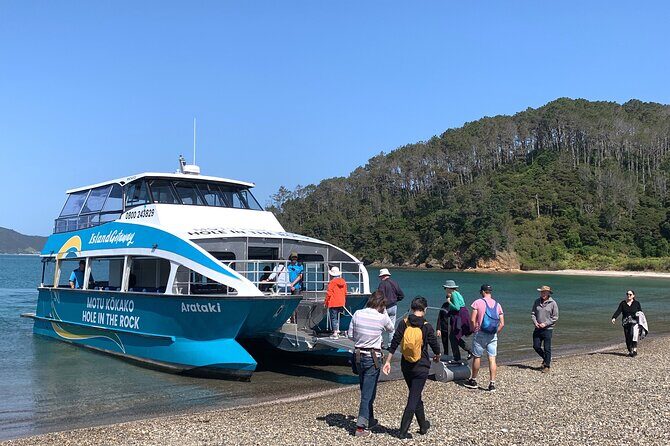 Bay of Islands Cruise & Island Tour - Snorkel, Hike,Swim,Wildlife - Exploring the Itinerary