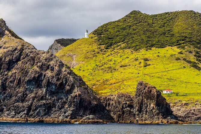 Bay of Islands Cruise & Island Tour - Snorkel, Hike,Swim,Wildlife - The Sum Up