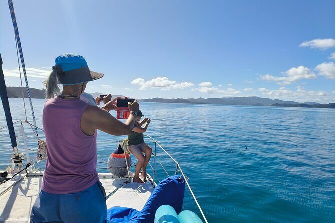 Bay of Islands: Day Sailing Cruise with Island Stop and Lunch - FAQ