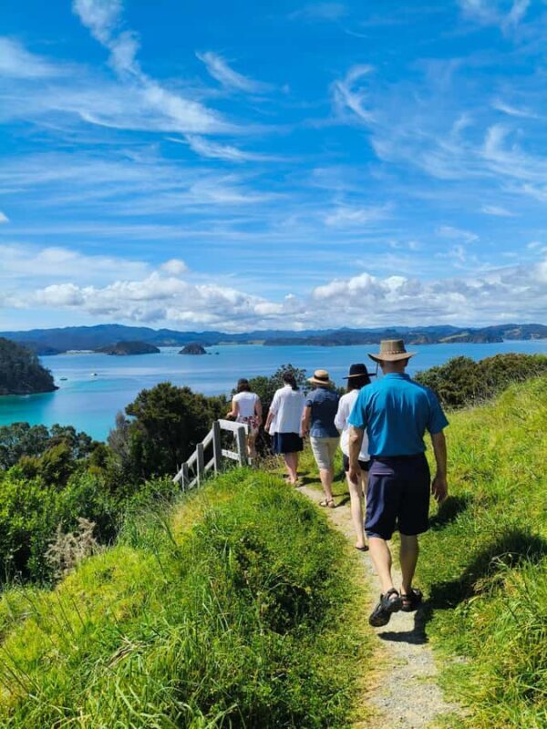 Bay of Islands: Day Sailing Cruise with Island Stop & Lunch - Key Points
