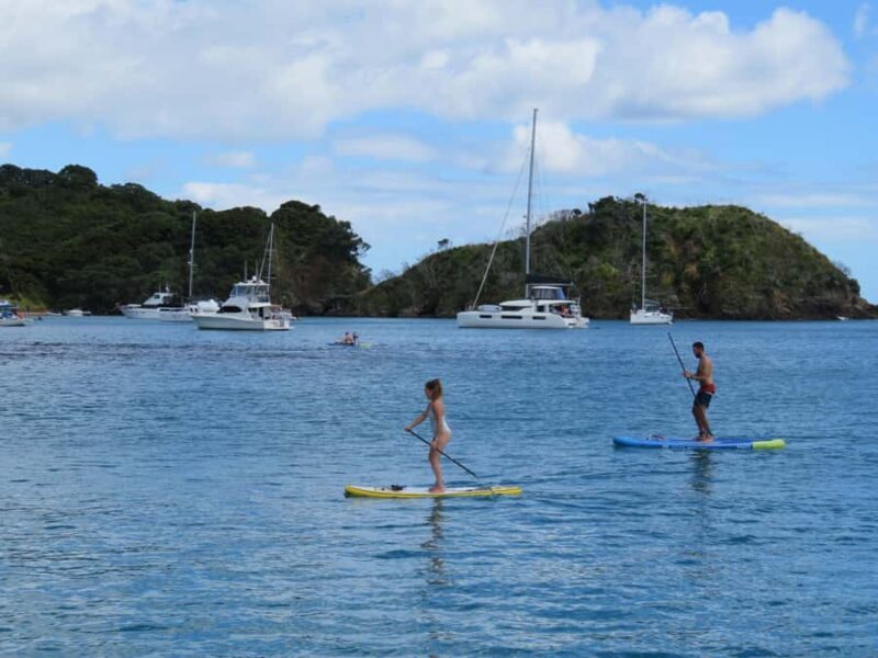 Bay of Islands: Day Sailing Cruise with Island Stop & Lunch - Who Is This Tour Best For?