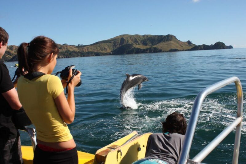 Bay of Islands: Discover the Bay Cruise with Island Lunch - Introduction: What This Cruise Is All About