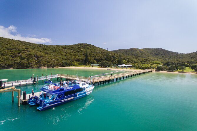 Bay of Islands Discovery Experience from Auckland incl. Hole In The Rock Cruise - An In-Depth Look at the Tour