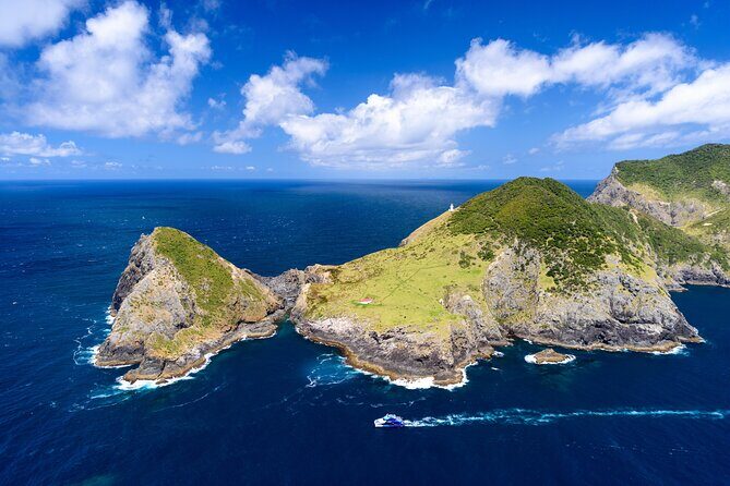 Bay of Islands Discovery Experience from Auckland incl. Hole In The Rock Cruise - Who Would Love This Tour?