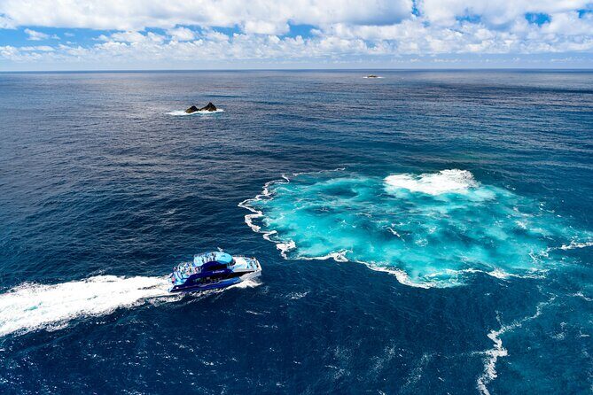 Bay of Islands Explorer Experience Small Group Tour From Auckland - An In-Depth Look at the Experience