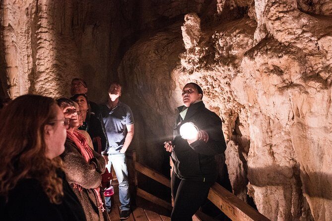 Bay of Islands Glow Worm Caves & Scenic Shore Excursion - What’s Included and Why It Matters